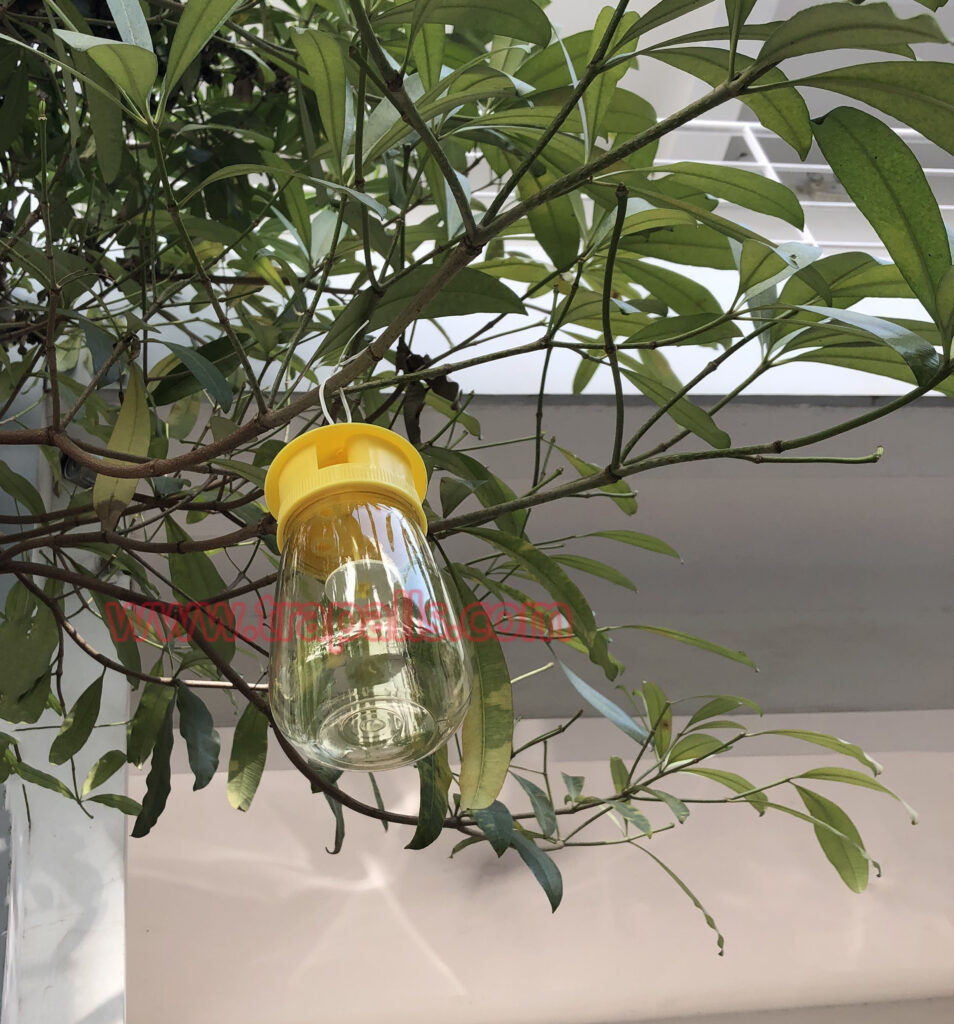 Reusable Plastic Hanging Insect Catcher Lure Attractant Fruit Fly Trap ...