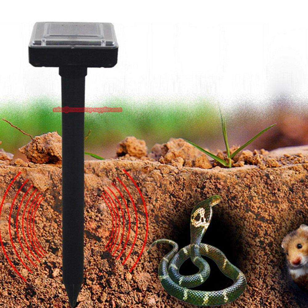 How to get rid of snake - Trapalls.com