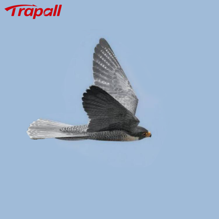 Outdoor Electronic Flying Peregrine Falcon Bird Deterrent Scarecrow ...