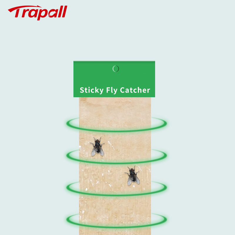 Disposable Sticky Glue Ribbon Roll Insect Hanging Fly Trap Catcher ...