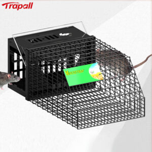 Reusable Galvanized Iron Wire Continuous Rodent Catcher No Kill Humane ...