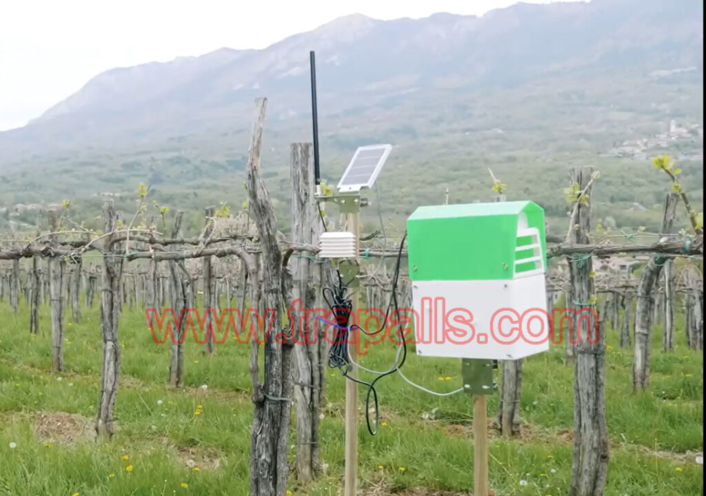Solar Intelligent Monitoring Flies Control Pest Killer Electronic ...