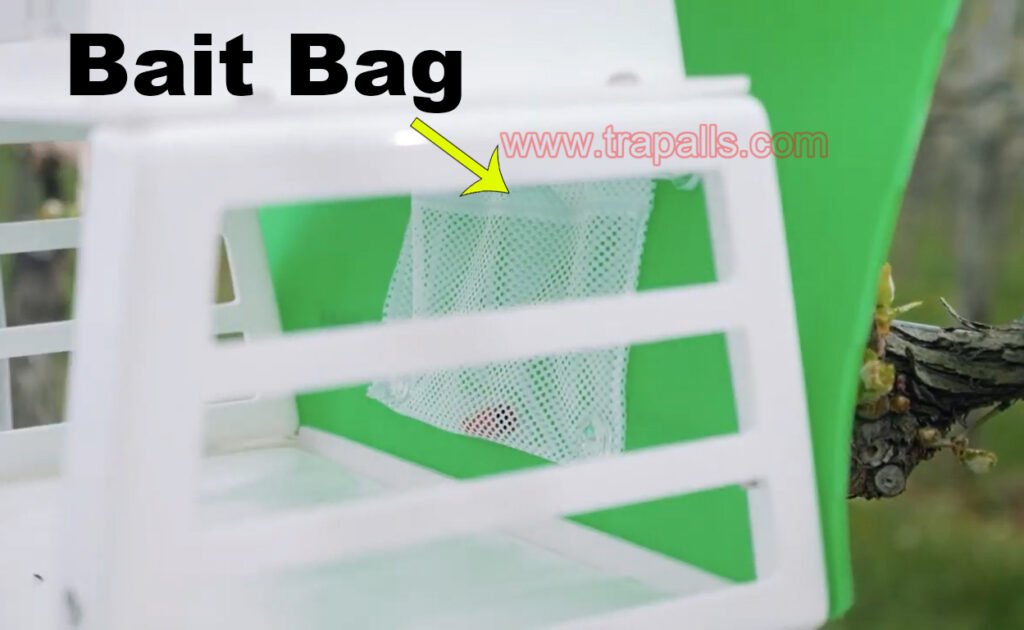Solar Intelligent Monitoring Flies Control Pest Killer Electronic ...