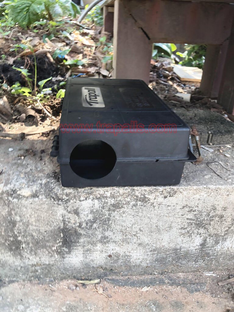 Plastic Safe Indoor Outdoor Mouse Control Rodent Killer Rat Bait ...