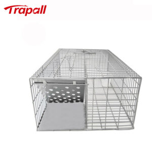 Large Pedal Metal Quick Kill Rodent Catcher Mouse Snap Trap - Trapalls.com