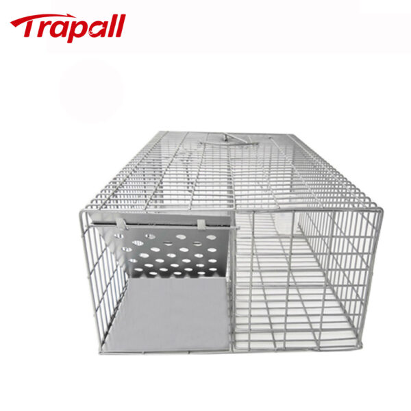 Large Pedal Metal Quick Kill Rodent Catcher Mouse Snap Trap - Trapalls.com