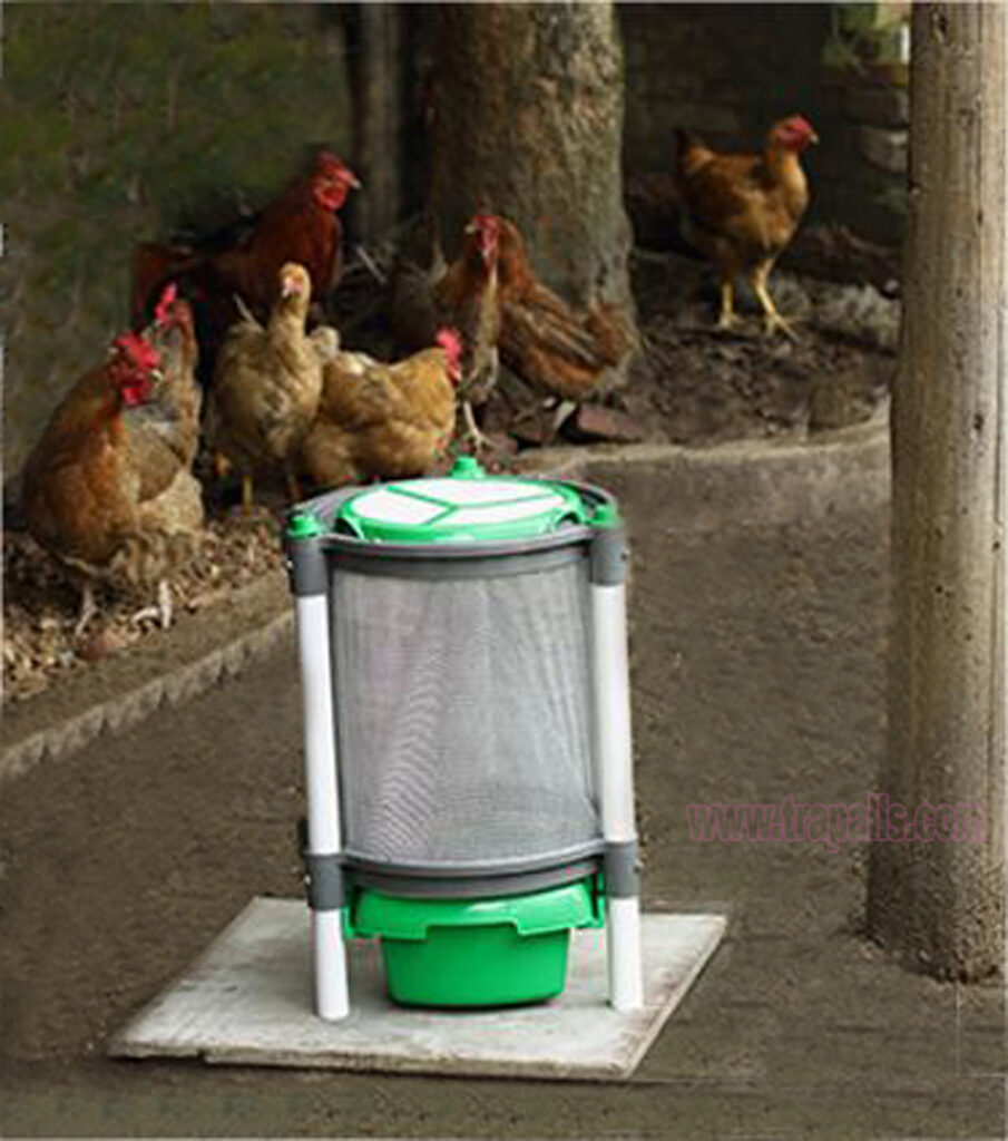 Large Capacity Fly Machine Breeding Livestock Control Mosca Pest ...